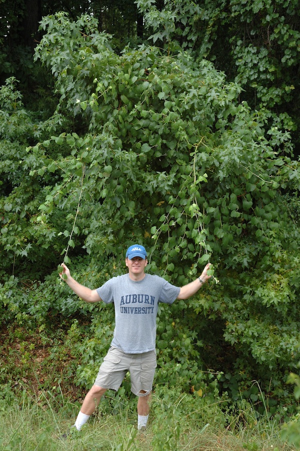 Auburn Researchers Discover Rare Plant Species at Chewacla State Park