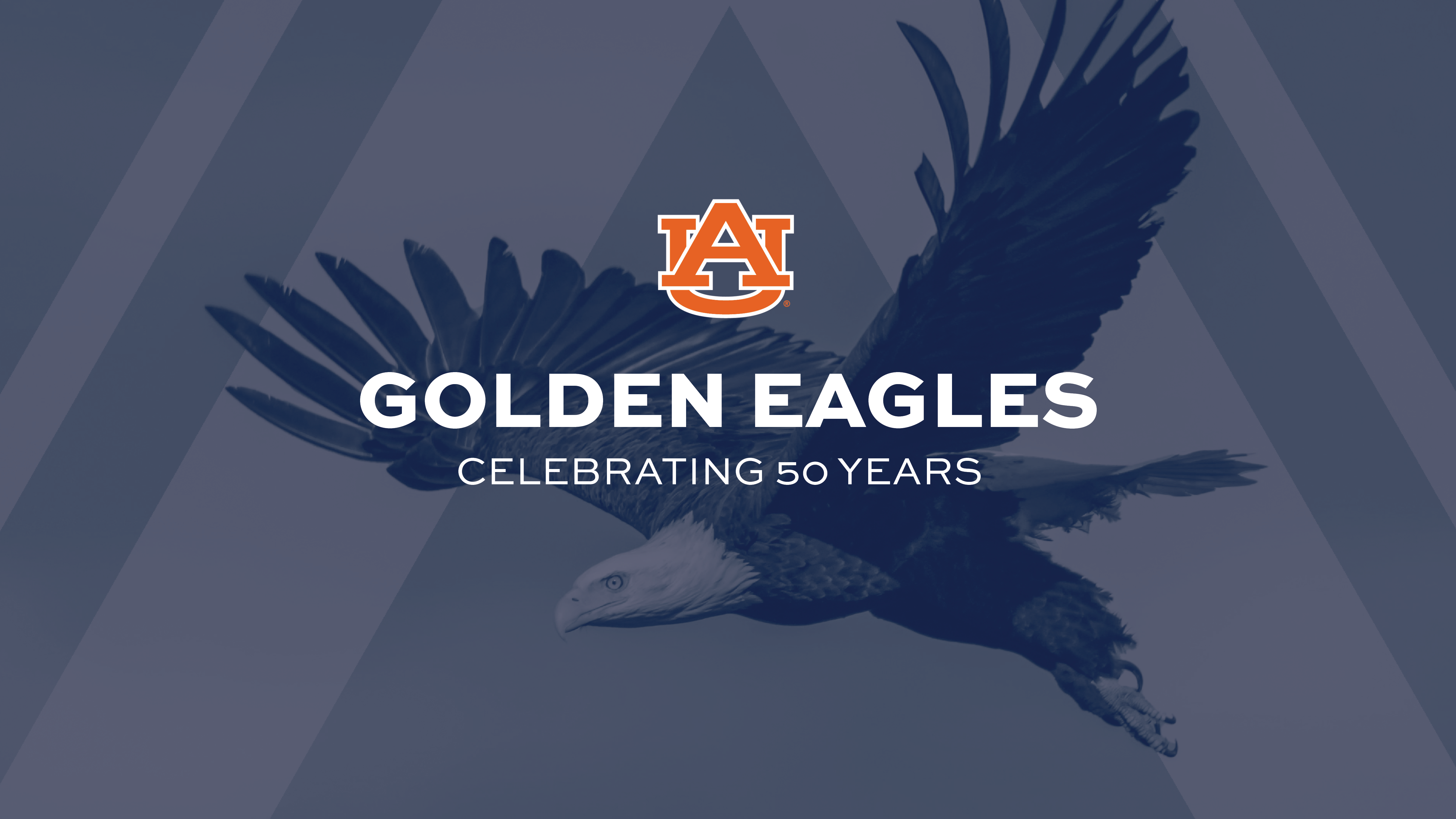 COSAM alumnus reflects on how he has made a difference through ...
